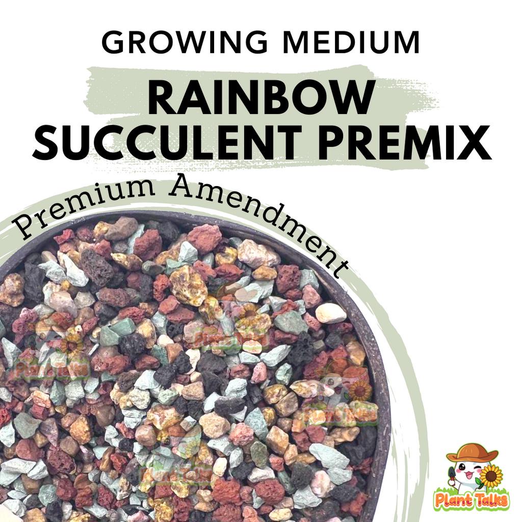 Plant Talks Rainbow Mix for Succulent and Soil for Lithops Well ...