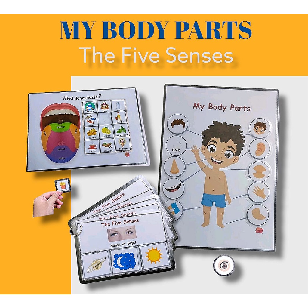 Busy Book Kids Learning Flashcards My Senses Learning Educational Book ...