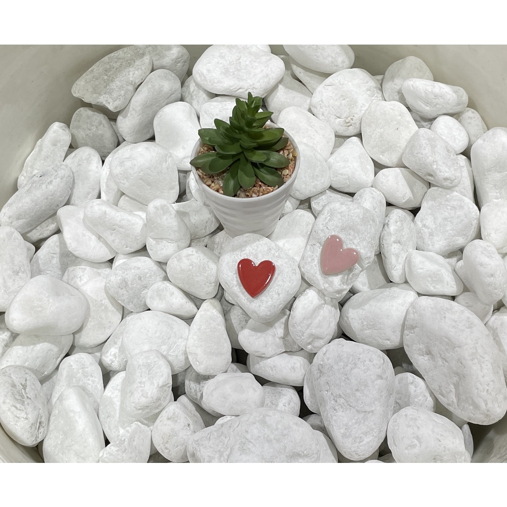 Pebbles Stone Crystal White (4.5kgs) | Shopee Singapore