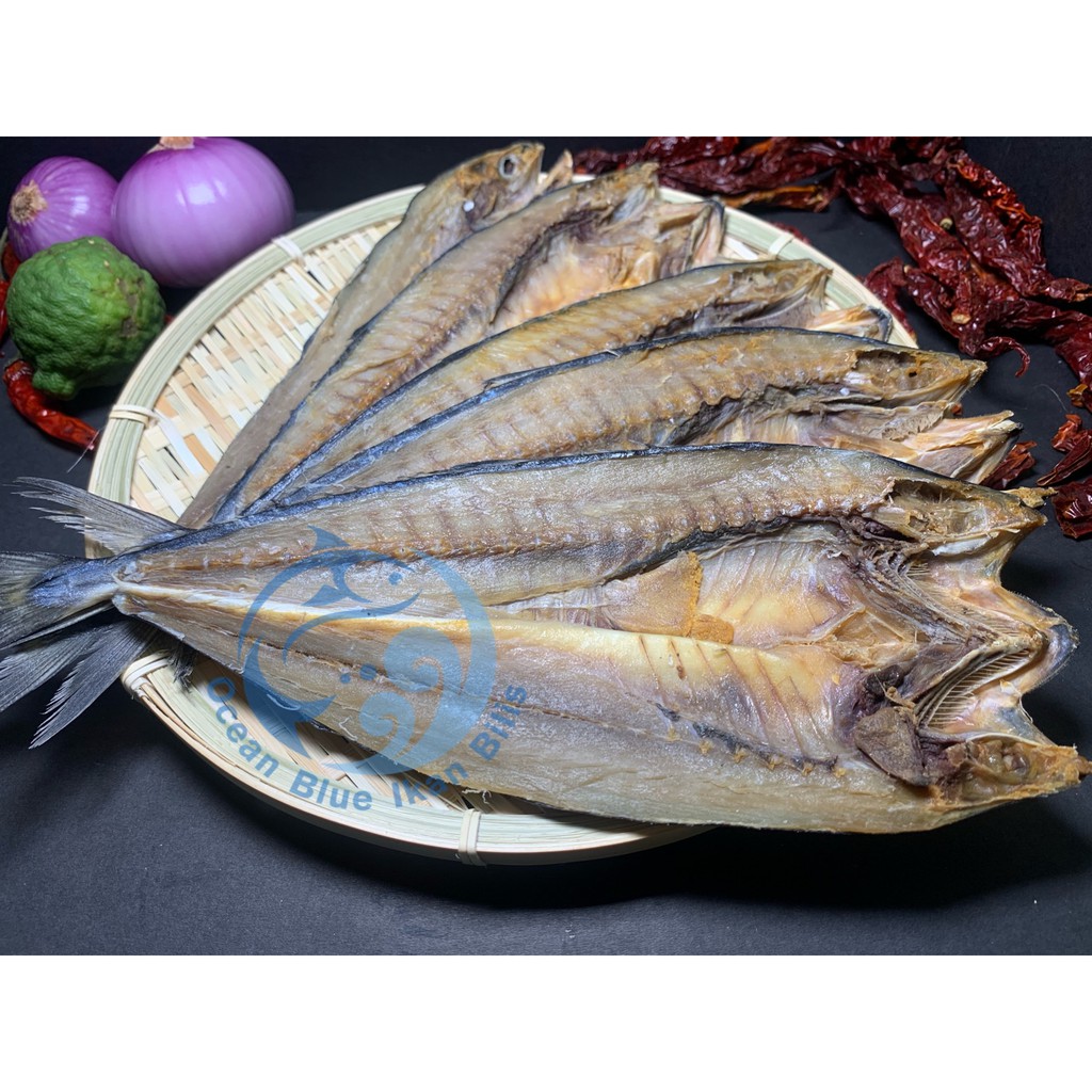 IKAN TALANG PADI - OCEAN BLUE (500G) | Shopee Singapore