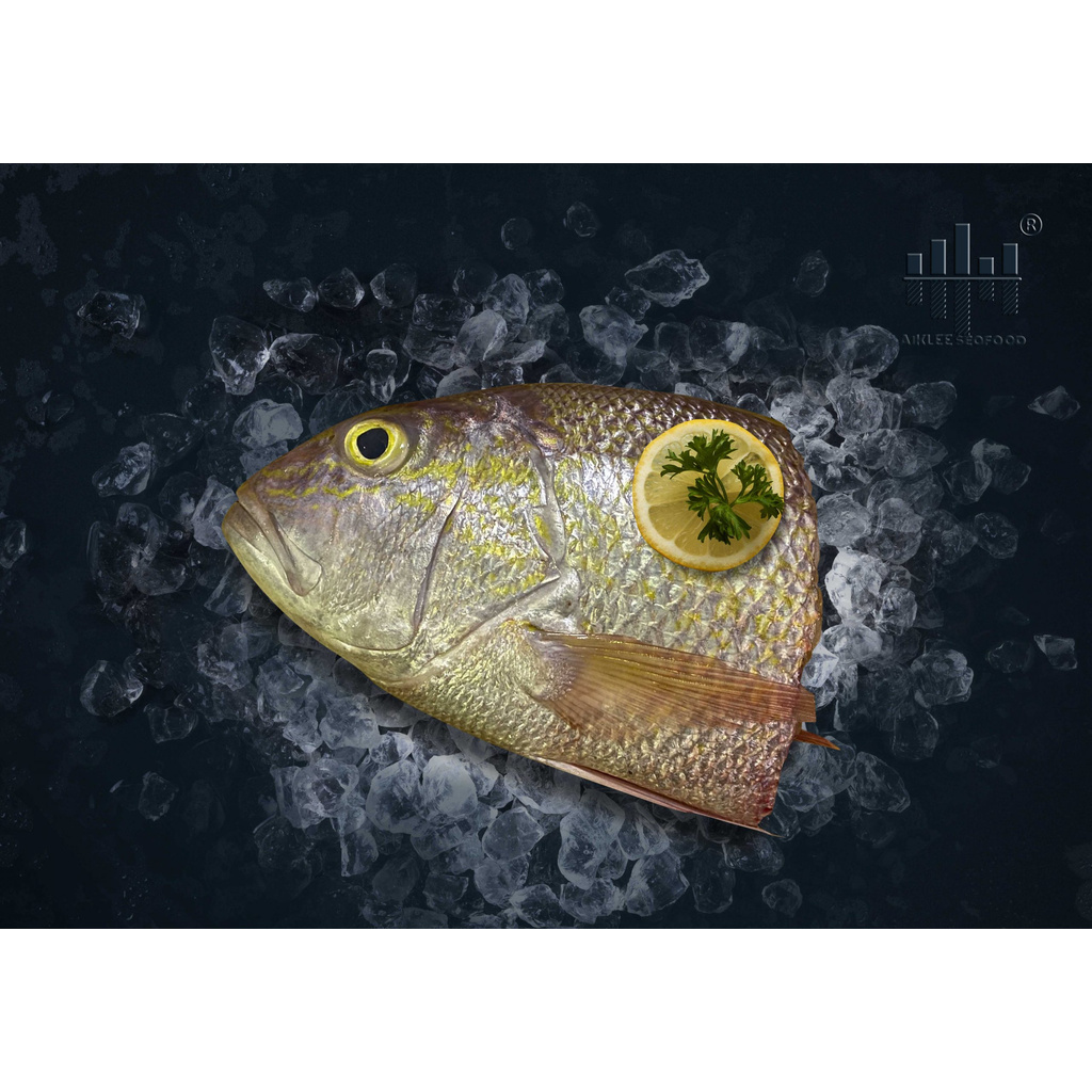 [AIKLEE] FRESH Ang Kor Li Fish Head 红哥里鱼头 (1kg) [SEAFOOD] | Shopee ...
