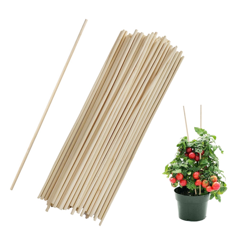 [herebuy] 50pcs Plant Growth Support Sticks Miniascape Branch Vine ...
