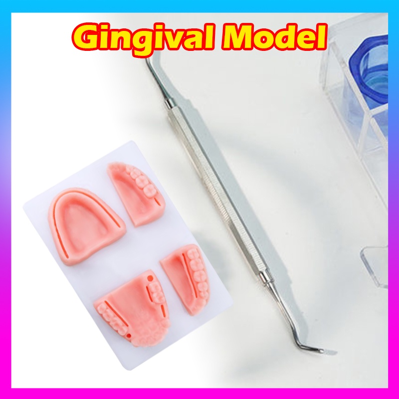 Dental Silicone Oral Teeth Gum Suture Pad False Dentistry Fake Skin ...