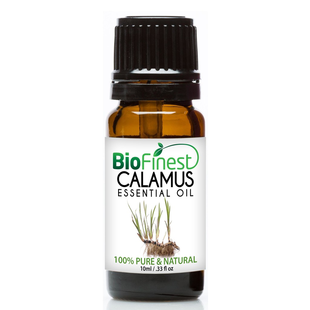 BioFinest Calamus Oil Pure Calamus Essential Oil Therapeutic Grade ...