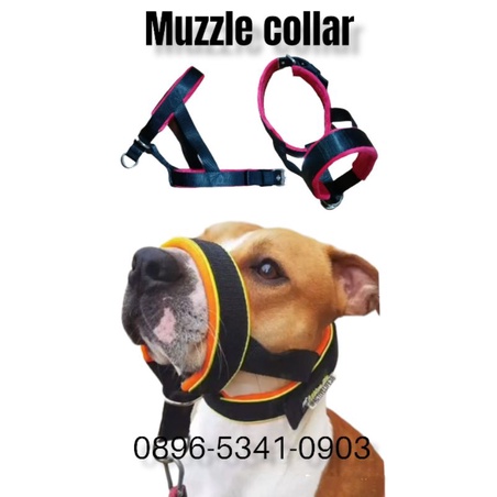 Dog muzzle collar model/muzzle collar/dog muzzle collar | Shopee Singapore