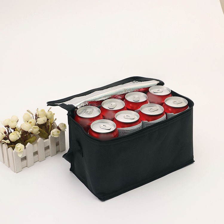 Reusable Thermal Insulated Cooler Bags For Food Storage / Large ...
