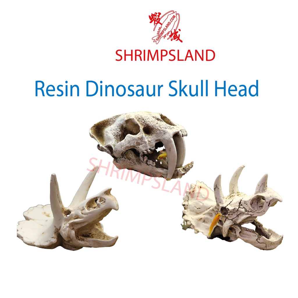 [SHRIMPSLAND] Aquarium T-rex Dinosaur Skull Head Resin Fish Reptile ...
