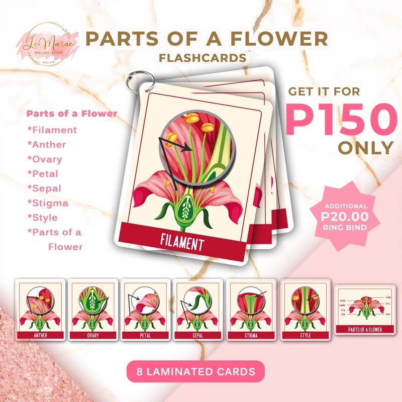 PARTS OF THE FLOWER Laminated Educational Flashcards | Shopee Singapore