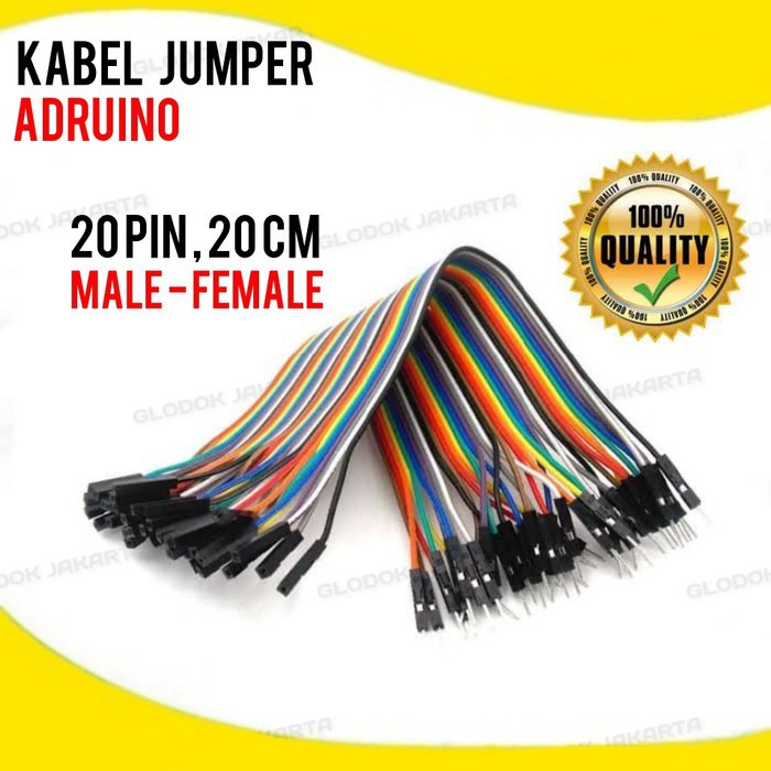 Male Female Jumper Cable 20Pin 20cm Arduino | Shopee Singapore
