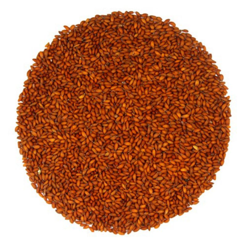 Saliya Seeds / Garden Cress Seeds /Habatul Rashad / Water cress seeds ...
