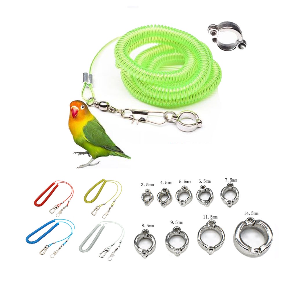 Birds Flying Training Rope with Training Ring Set 3/5/10M Parrot Pigeon ...