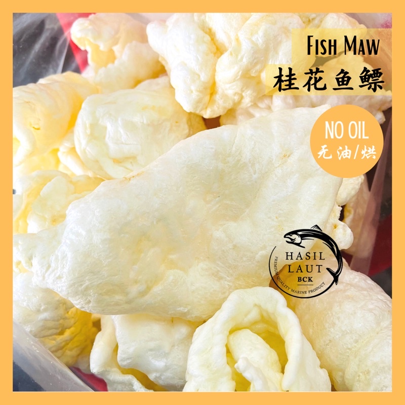 桂花鱼鳔 [无油/烘] Gui Hua Fish Maw [No Oil/Oven Baked](100g) | Shopee Singapore