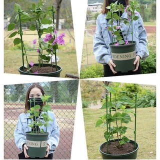 Climbing Support Plant Flower Vine Rack Climbing Planter Trellis ...