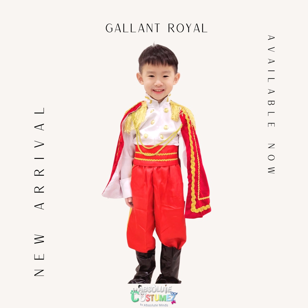 Gallant Royal Knight King Prince Halloween Costume Pretend Play Kids ...