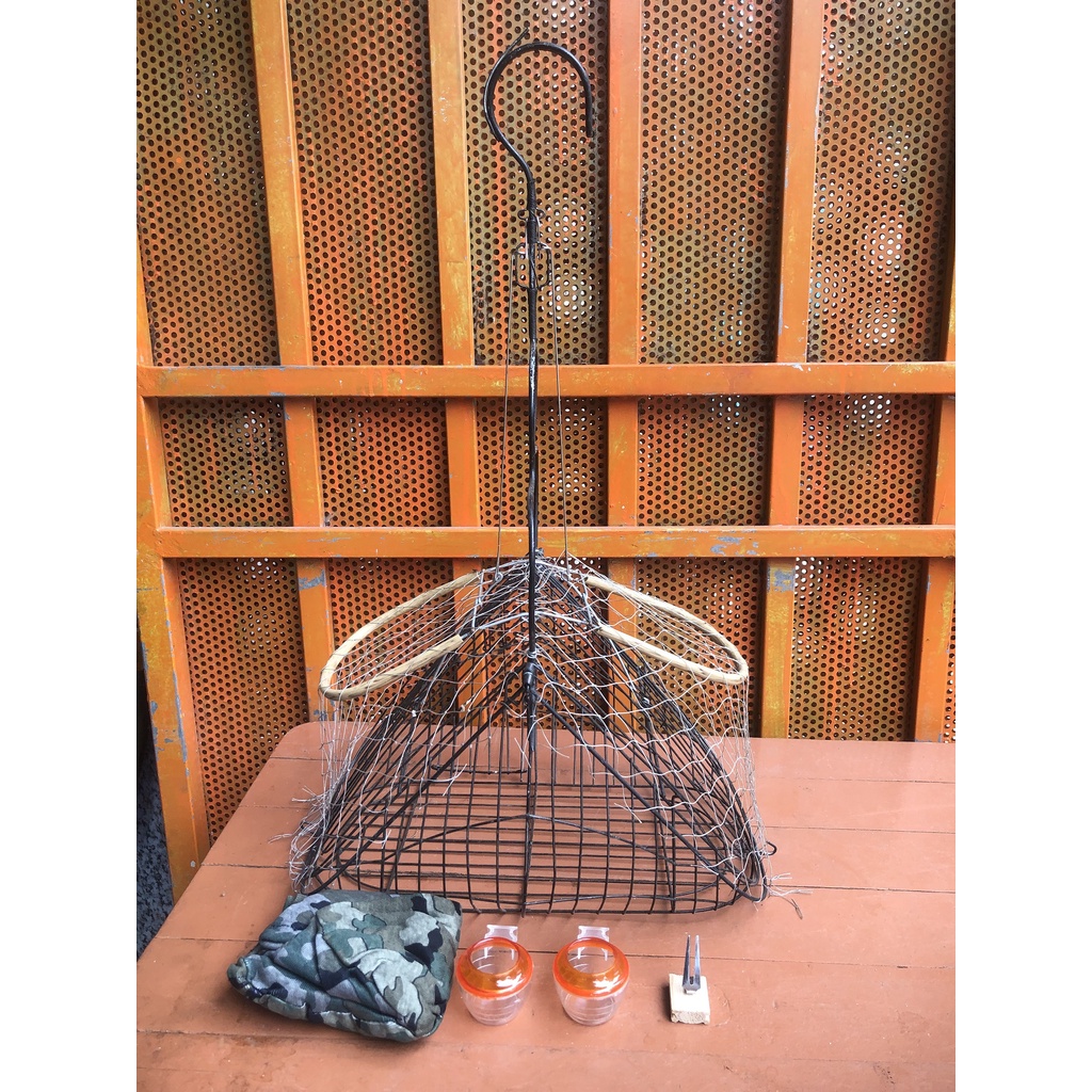 Black zinc trap to trap Coal, Bulbul,...small size | Shopee Singapore