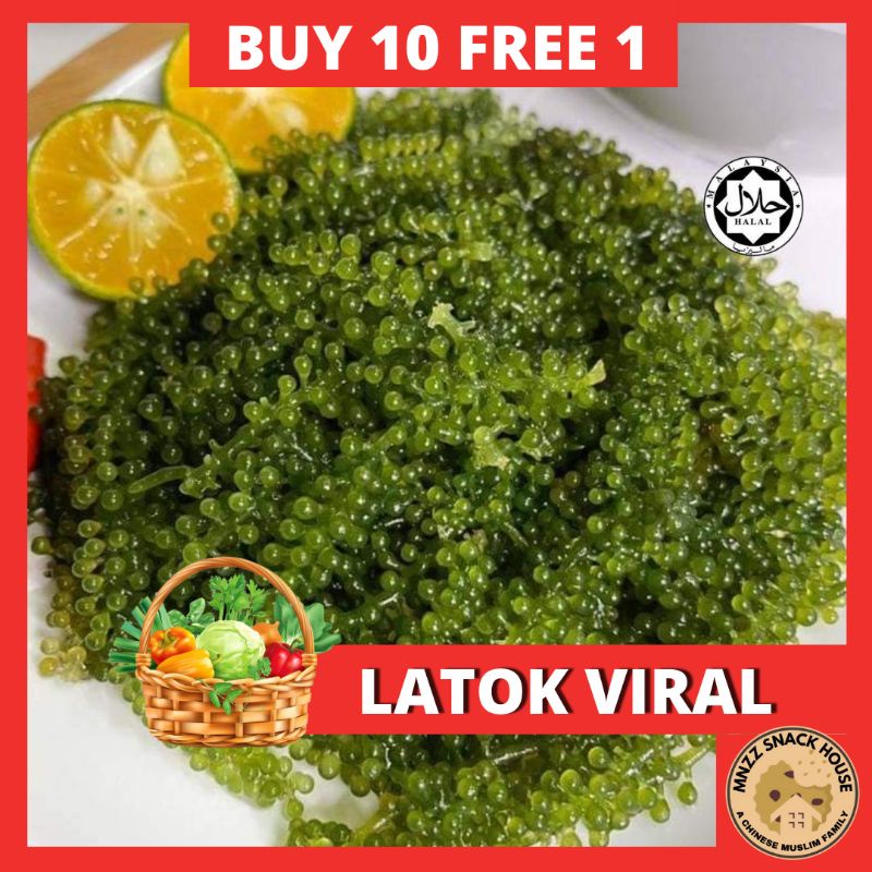 Offer Latok viral Seafood Seafood Snack Seaweed food Snack viral lato ...