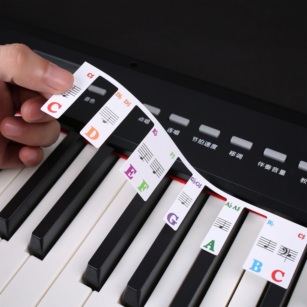 Piano Keyboard Stickers Grand/upright/electric Piano 61/88 keys Stave ...