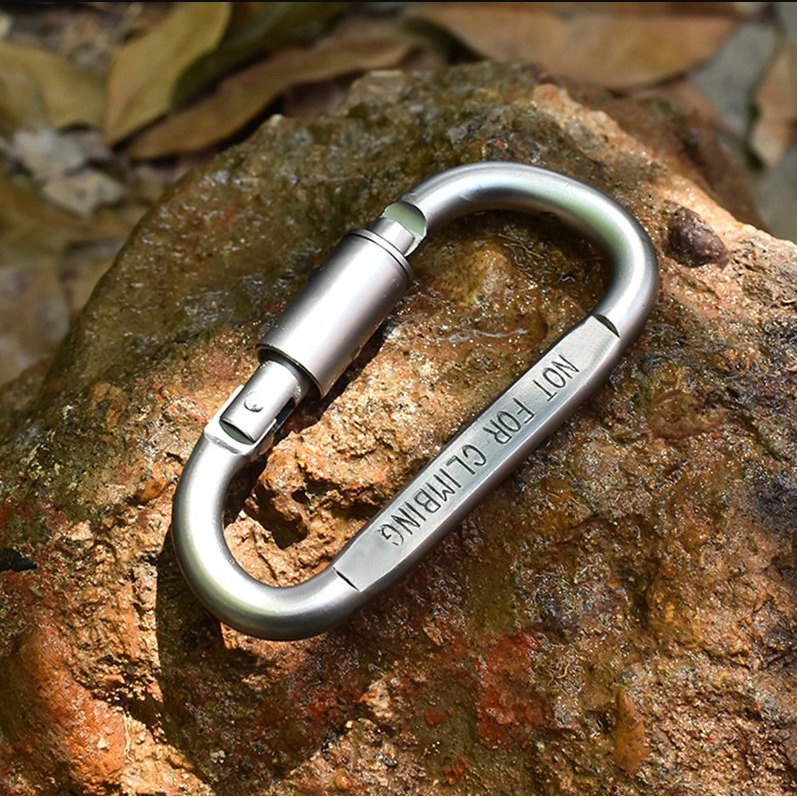 Carabiner Hook D-Ring Keychain Lock Buckle Karabiner | Shopee Singapore