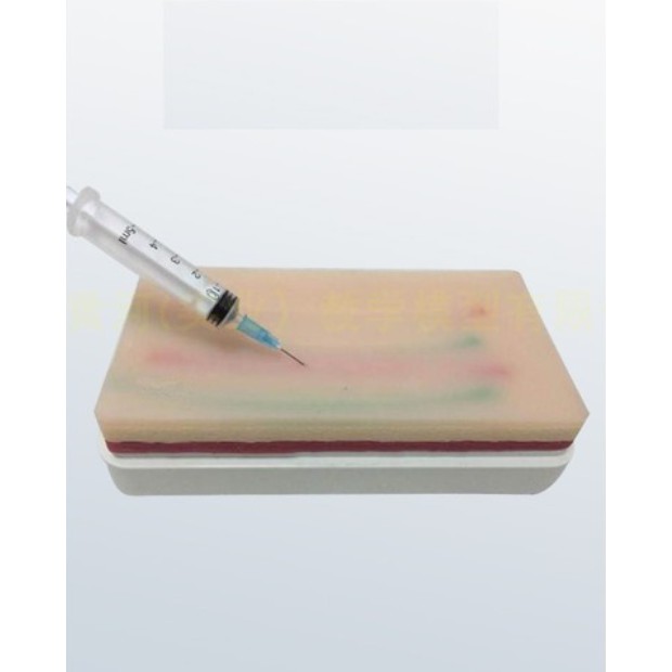 Sillicon SKIN MODEL for practicing SURGICAL MODELS, INFUSION Injections ...