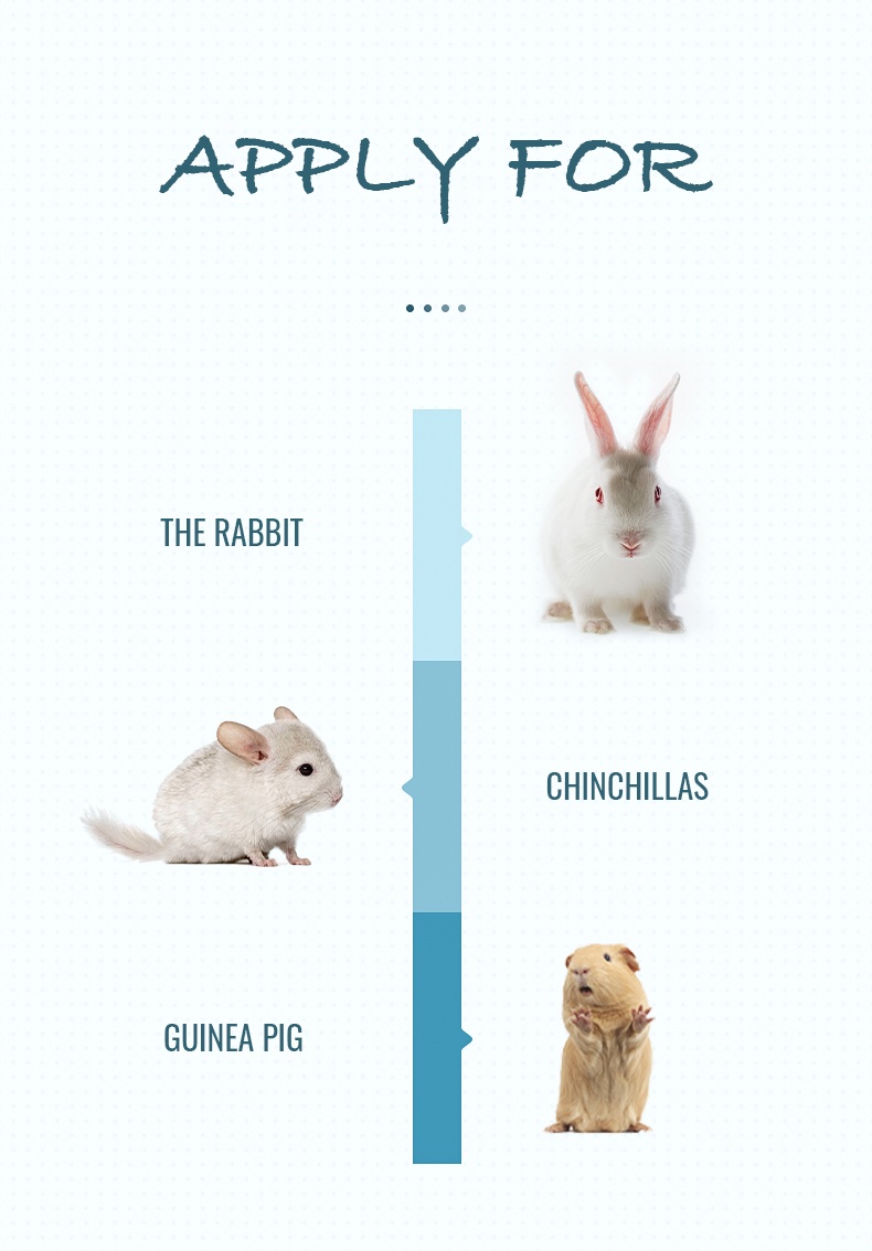 YEE Timothy Hay, Dry Grass For Bunny, Chinchilla, Guinea Pig, Rabbit ...