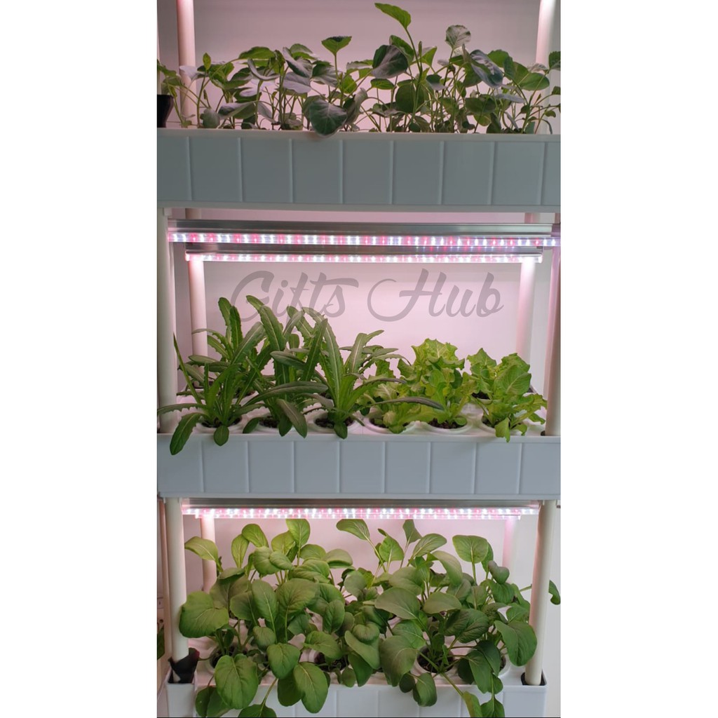 Hydroponics 4 Tier System Starter Set Soiless Nutrient film technique ...