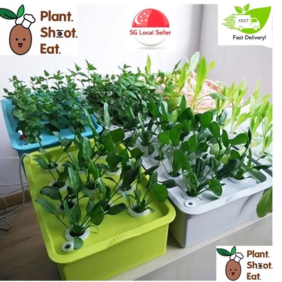 [SG Local Stock] Mini Hydroponics System with Air Pump, 6 holes ...