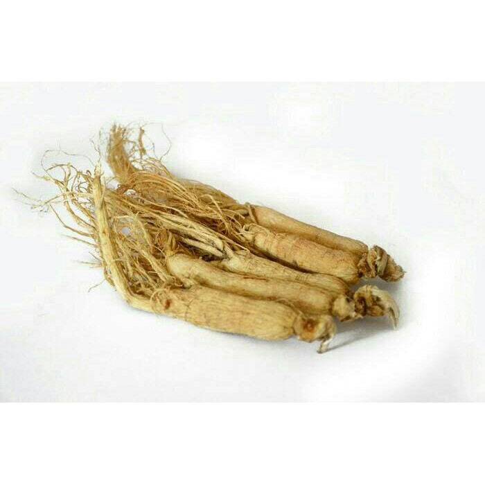 100 G GR GRAM WHOLE CHINESE GINSENG ROOT SHENG SHAI REN SHEN | Shopee ...