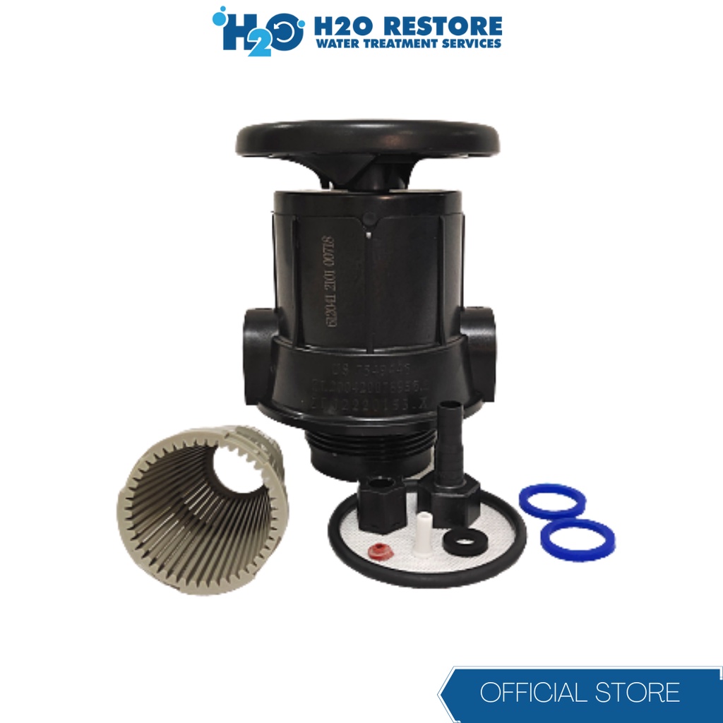 Manual Head For FRP Softener For Whole House Water Filtration System ...