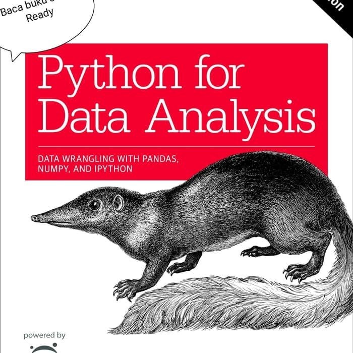 Python for data Analysis by Wes McKinney (SC) | Shopee Singapore