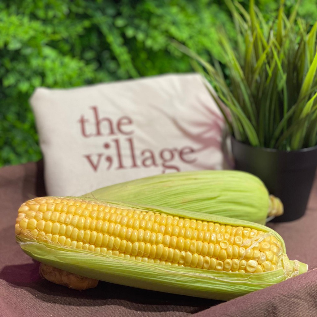 Sweet Corn [ VG 90 ] | Shopee Singapore