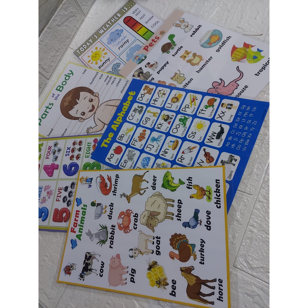 LAMINATED Learning Chart A4 Size | Shopee Singapore