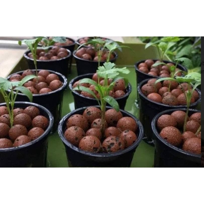 LECA Balls Hydroton Clay Pebbles for Hydroponics Aeroponics Aquaponics ...