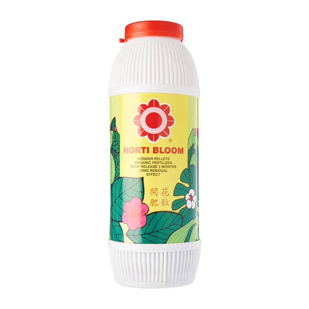 Bloom (Bottle) | Shopee Singapore