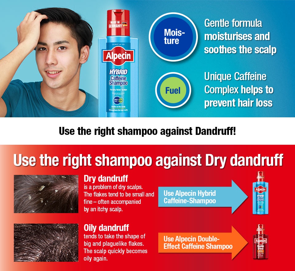 Alpecin Hybrid Caffeine Shampoo (375ml) - Men's Shampoo Against Hair ...