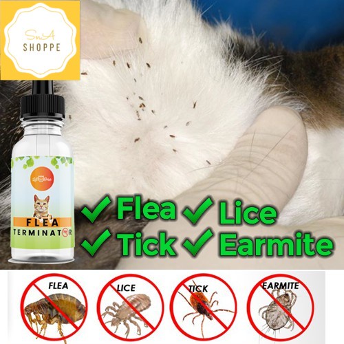 [24 HOURS EFFECTIVE] Anti Flea & Lice For Cat and Dog Tick Lice Earmite ...