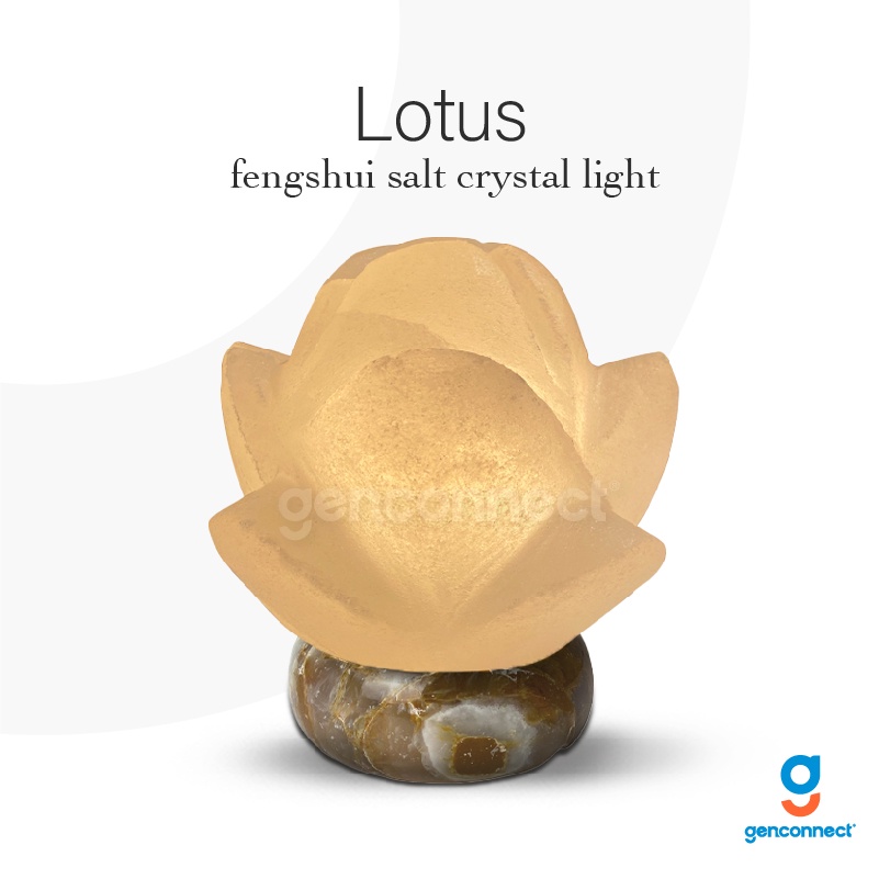 Salt Lamp Lotus Himalayan Fengshui salt crystal light Festival ...
