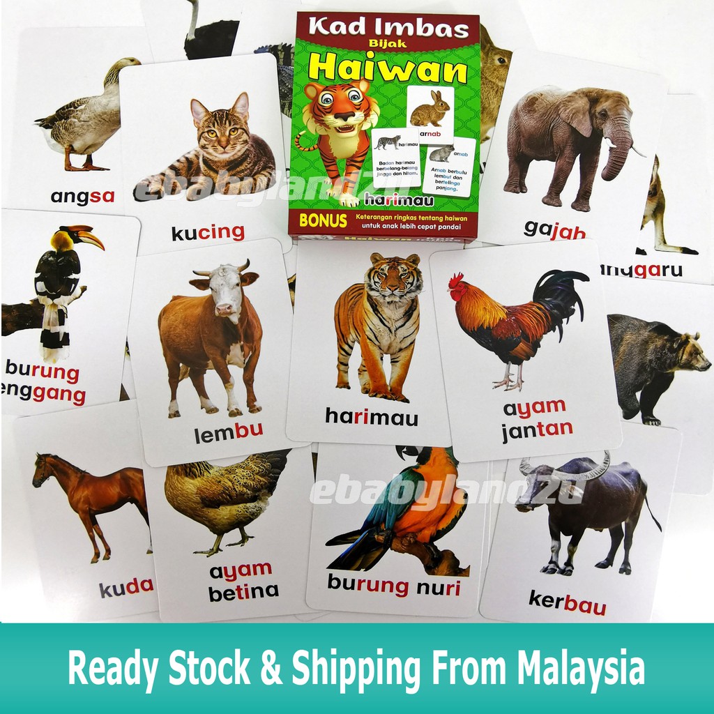 Early Learning Malay Flash Card Flash Card For Baby Alphabetical Color ...