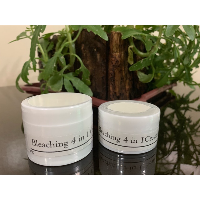 Bleaching Cream 4 in 1 (Extra Strength) | Shopee Singapore