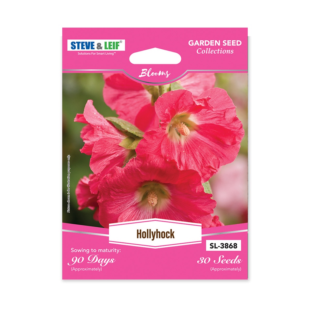 Steve & Leif Hollyhock Seed / Flower Seed / Garden Seed / Herb Seed ...