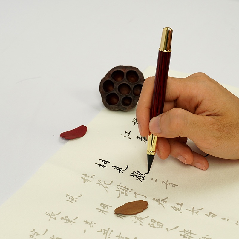 Chinese Calligraphy Brush Refillable Brush Pen 钢笔式毛笔自来水抄经狼毫小楷可加墨 Self ...