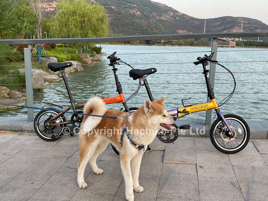 🔥JAPAN BRAND | OFFICIAL HACHIKO DISTRIBUTOR🔥 2025 Launch ⭐New Hachiko ...