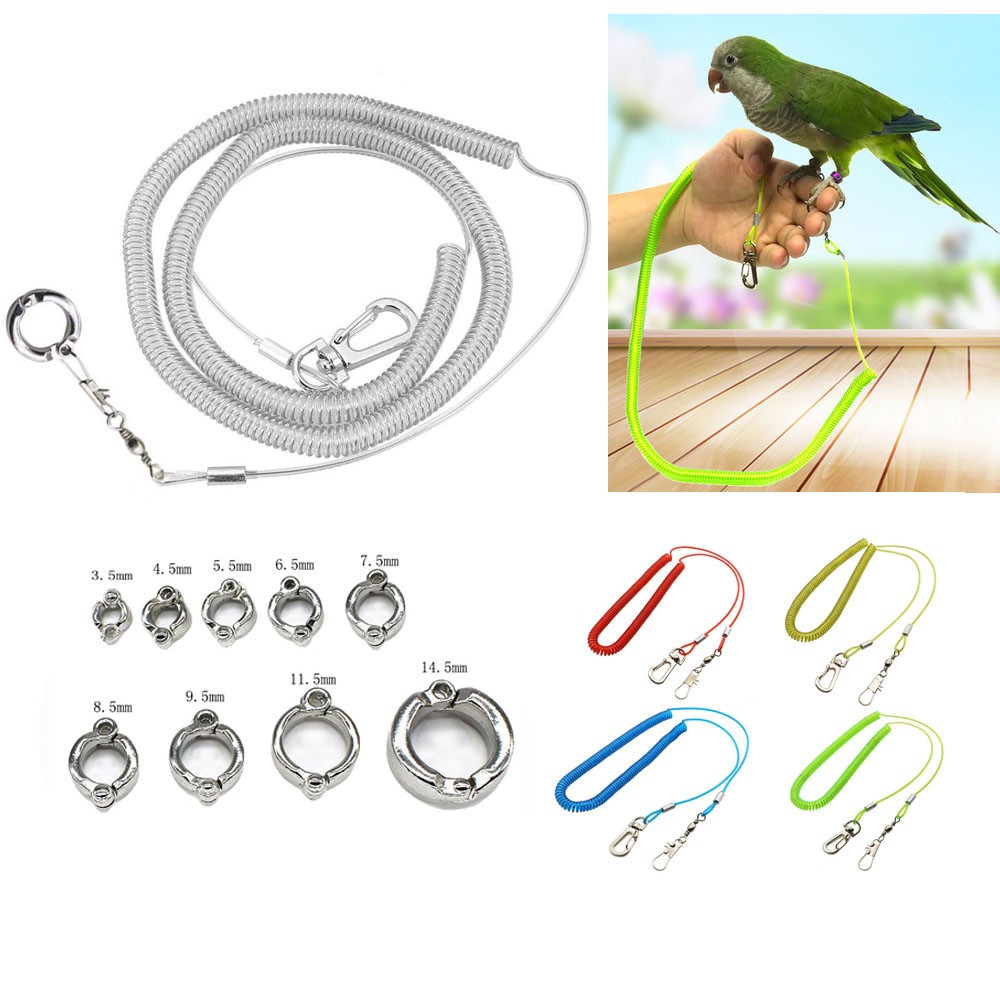 Birds Flying Rope with training ring set 3m/5m/10m Parrot pigeon Flying ...