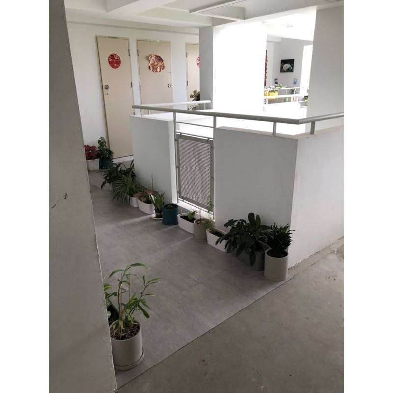 Modern Heavy Duty Clamp type Flower Plant Rack for HDB corridors ...