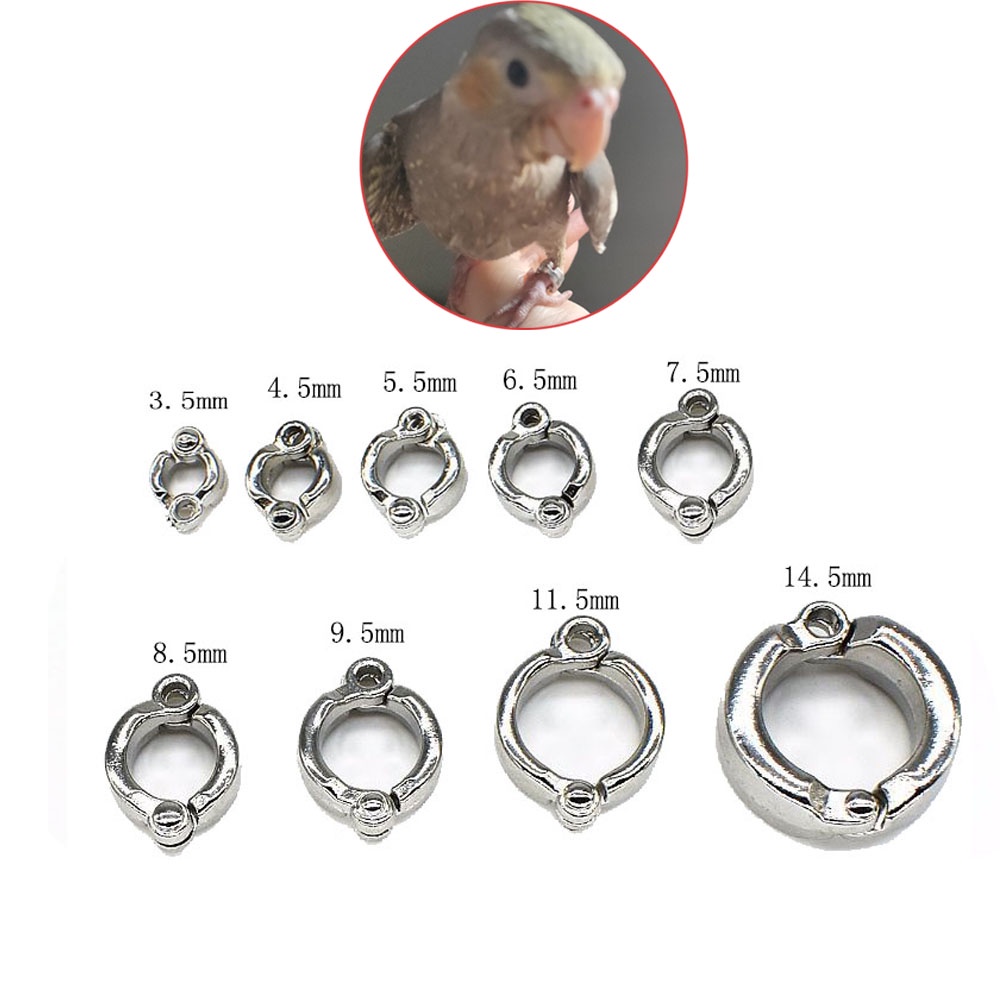 4mm to 15mm Birds Foot Ring Love birds/Budgerigar Foot Ring ...