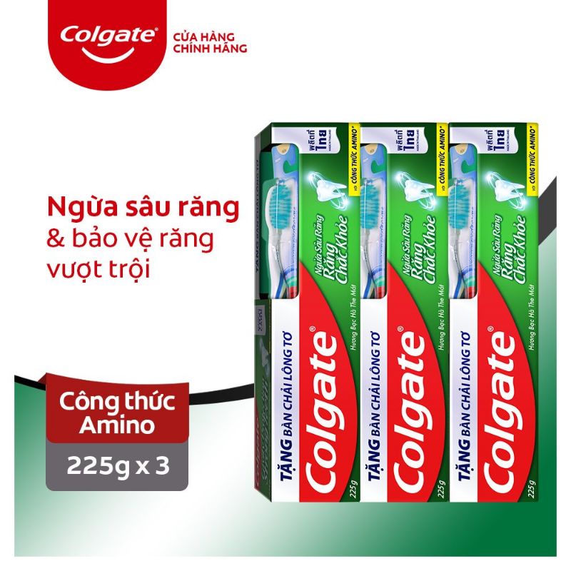 Colgate Toothpaste Prevents Tooth Decay (3 Plantsx 225g Free Toothbrush ...