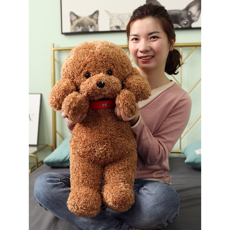 Teddy Dog Doll plush toy Simulation Puppy Girl Heart Soothing Ragdoll ...