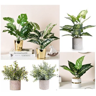 Small Potted Artificial Table Plants, Mini Fake Rosemary Plant Faux ...