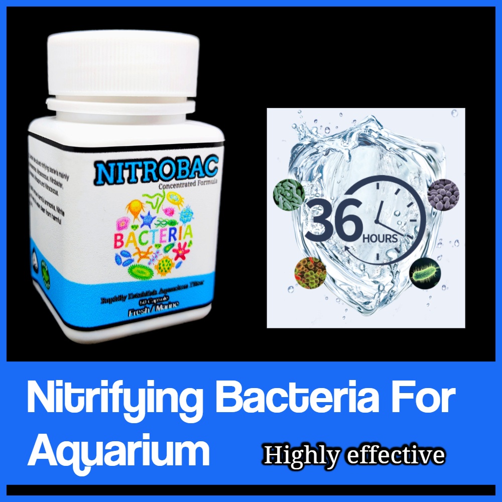 Nitrobac concentrated Aquarium Bacteria Capsule Nitrifying Bacteria for ...