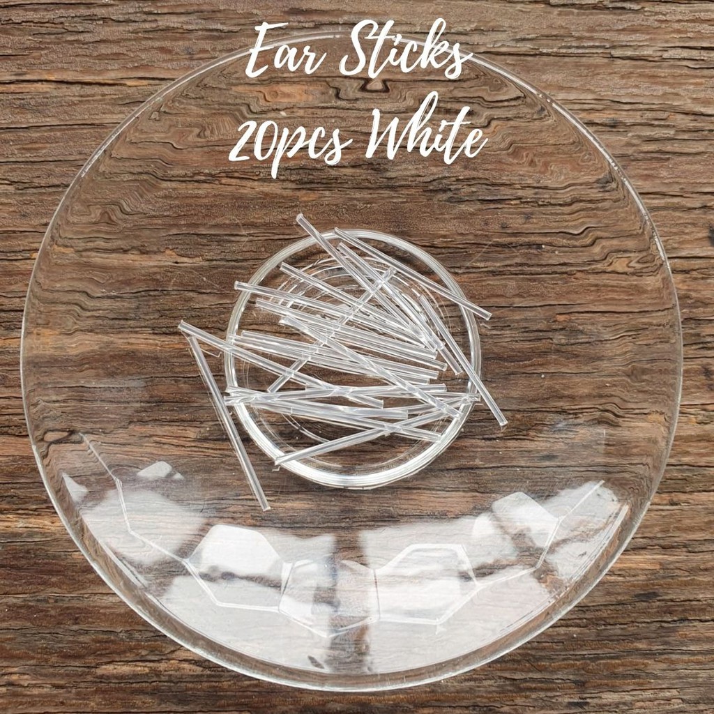 [SG Stocks] Plastic Ear Sticks, Ear Hoops, Anti Allergy Ear Stick ...