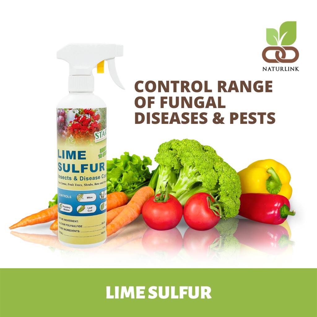 STARX Lime Sulfur for Insects & Disease Control (500ml) Spray ...